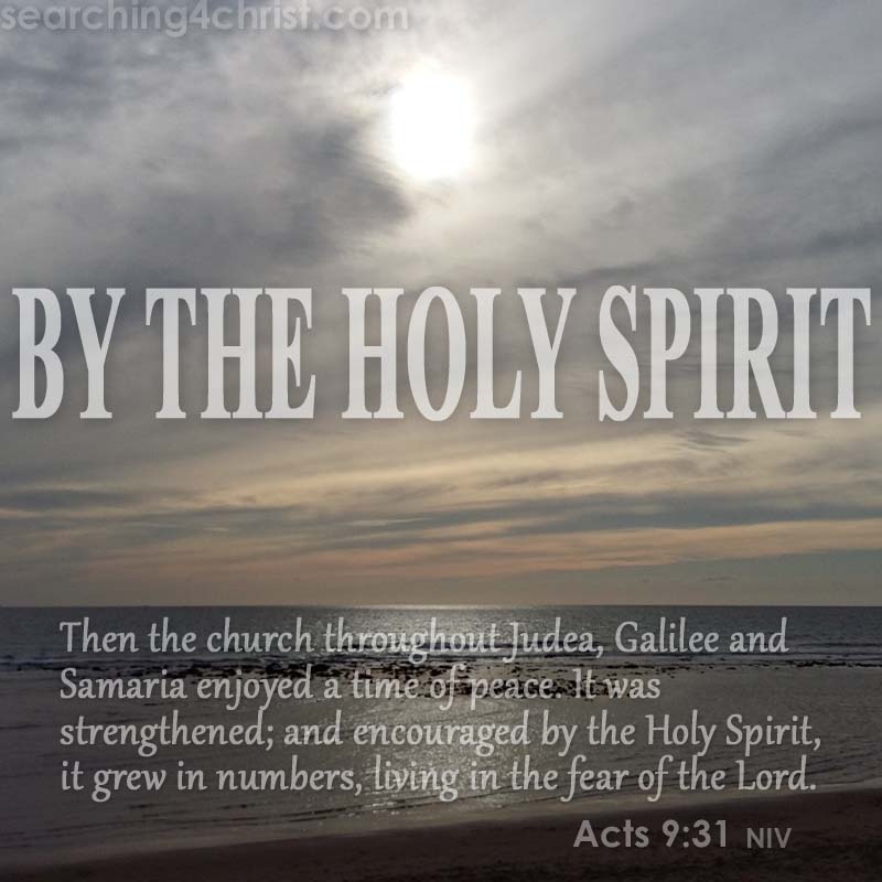 By The Holy Spirit – Searching For Christ