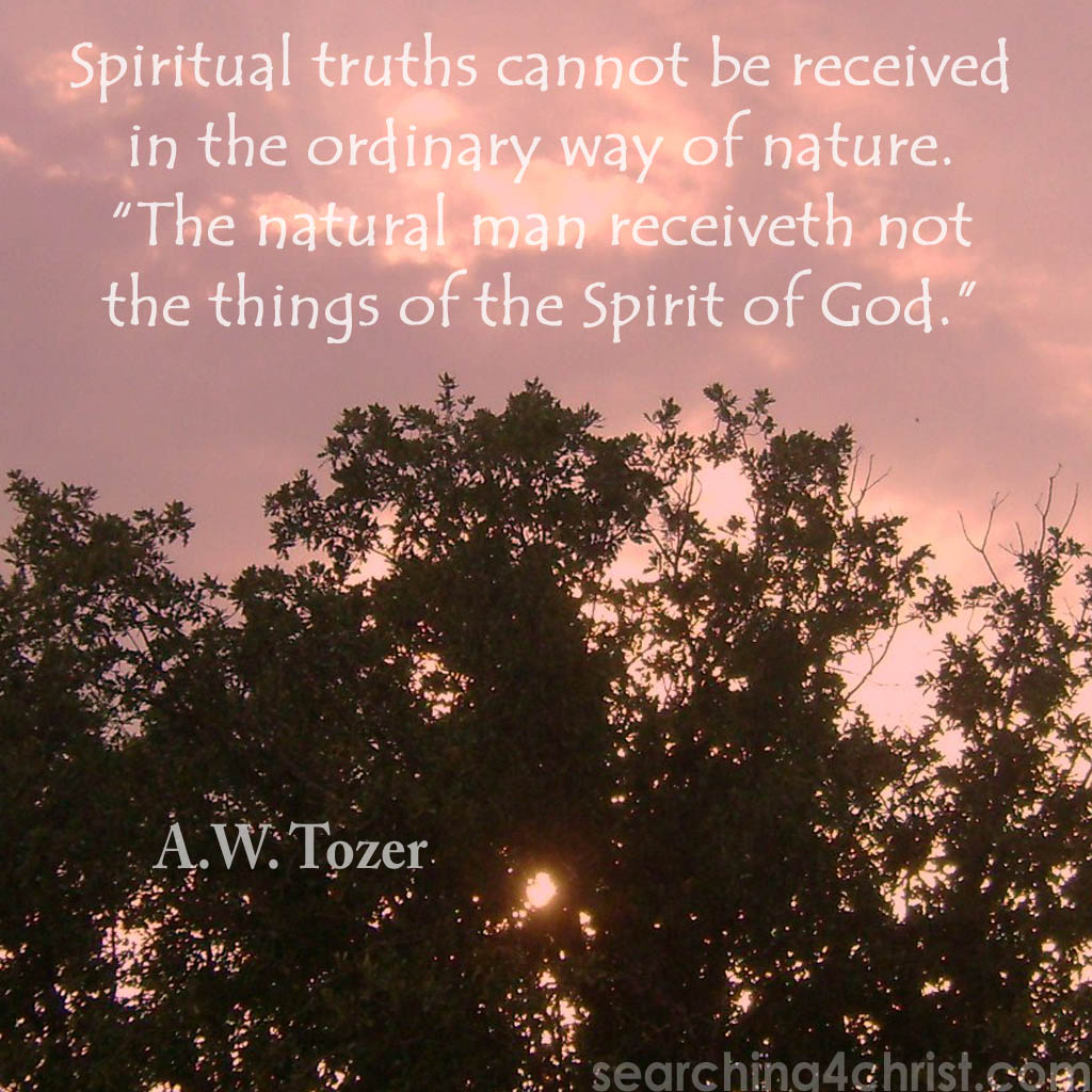 Spiritual Truths Not Natural – Searching For Christ