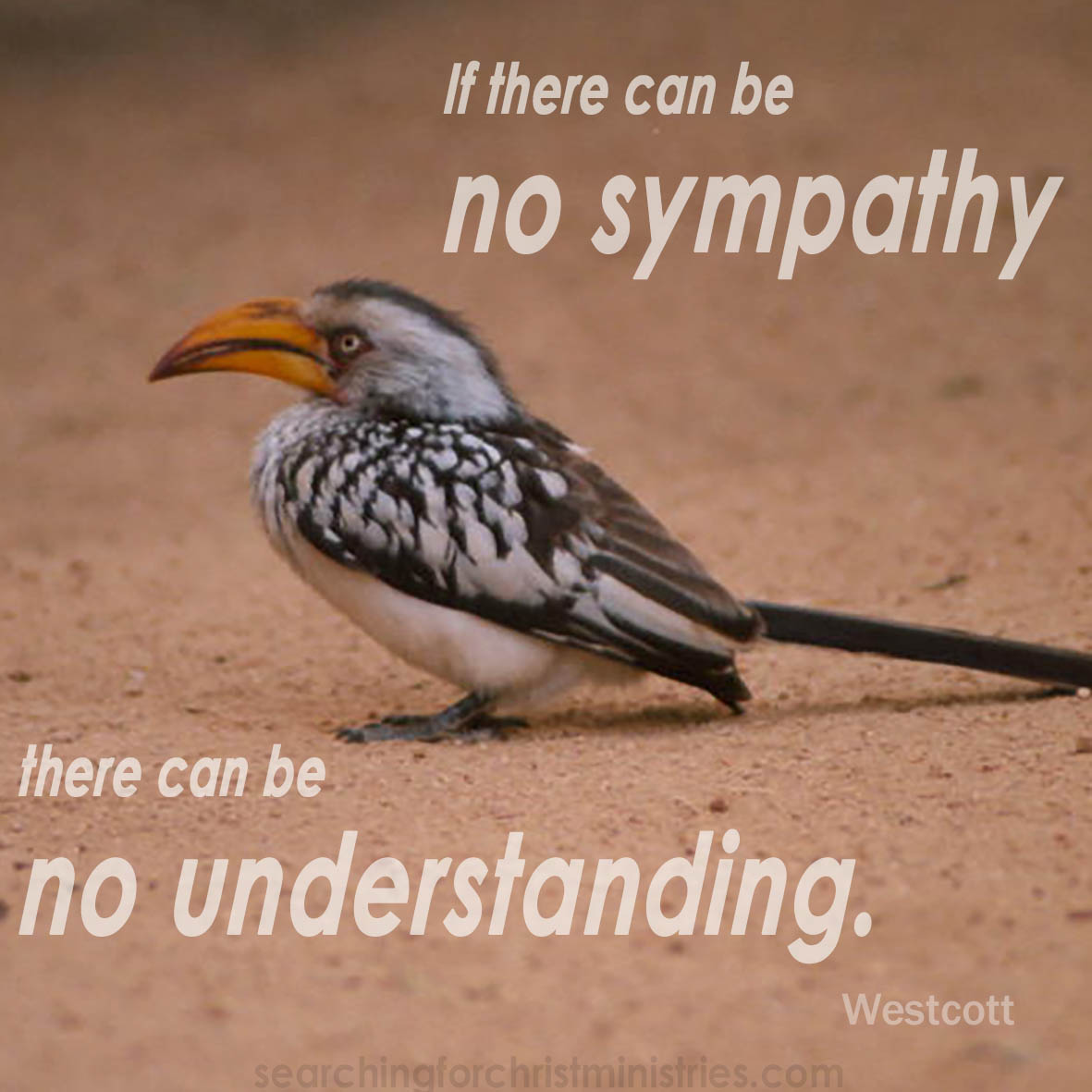 No Sympathy, No Understanding – Searching For Christ