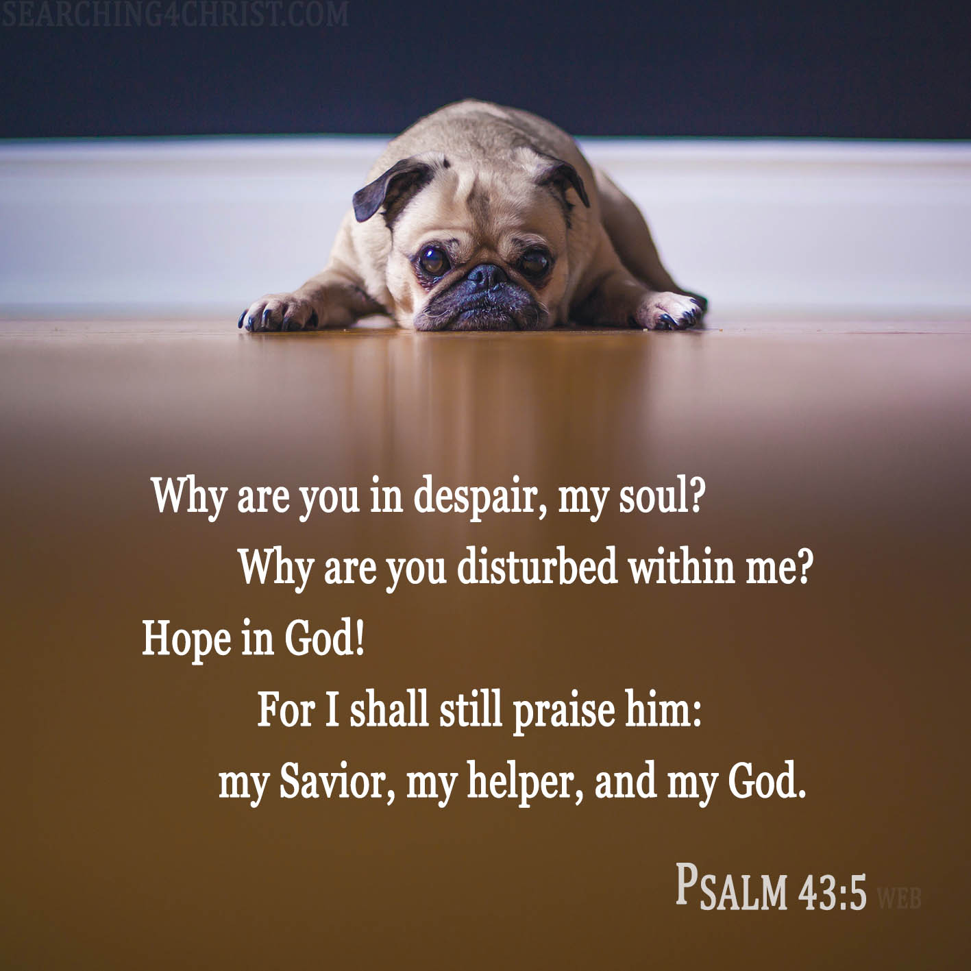 Soul, Don´t Despair – Searching For Christ